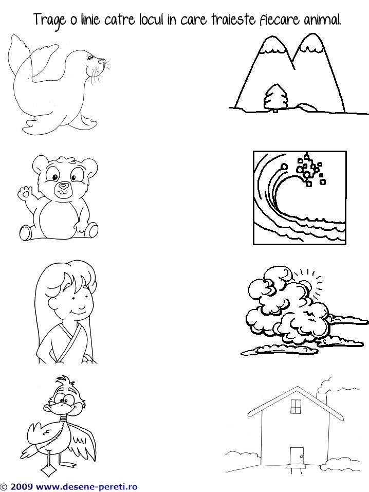 PLANSE EDUCATIVE pentru copii la gradinita